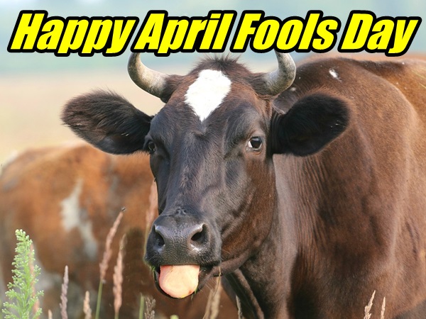 Roger Dodger Blogger | Flight Sim Websites and News